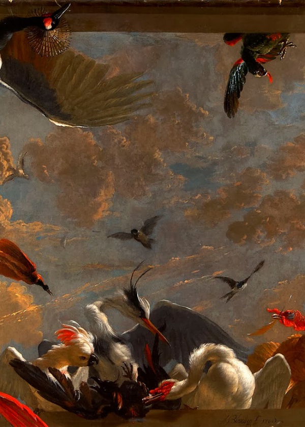 Taschenberg’s Mole | Peter Korver | Amsterdam